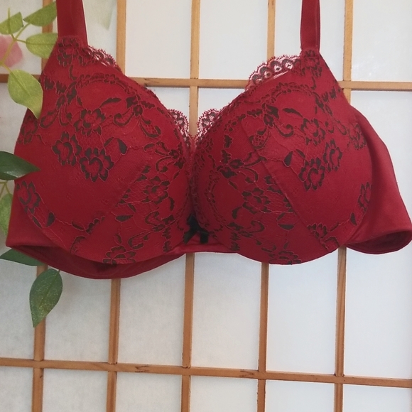 Maidenform | Intimates & Sleepwear | Maidenform Red Black Bra 38b ...